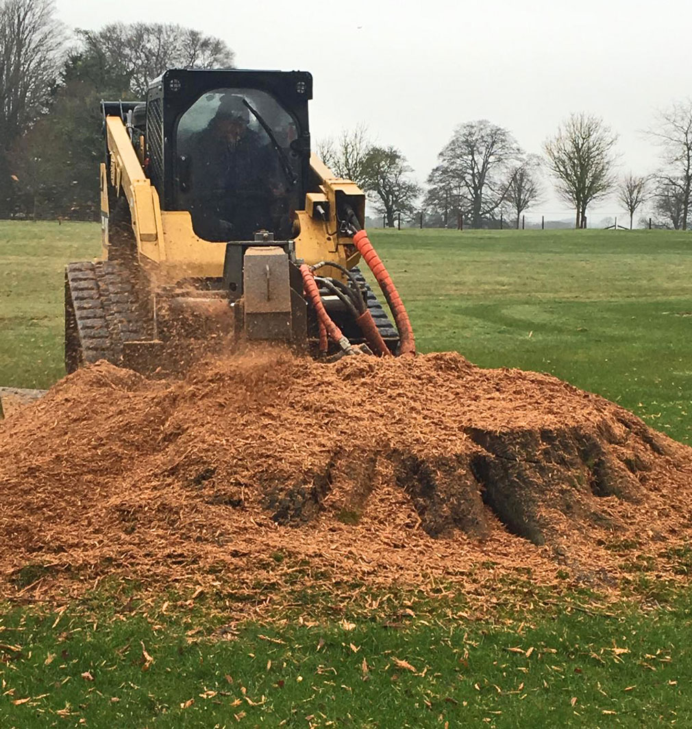 Gallery - Vale Tree Surgeons