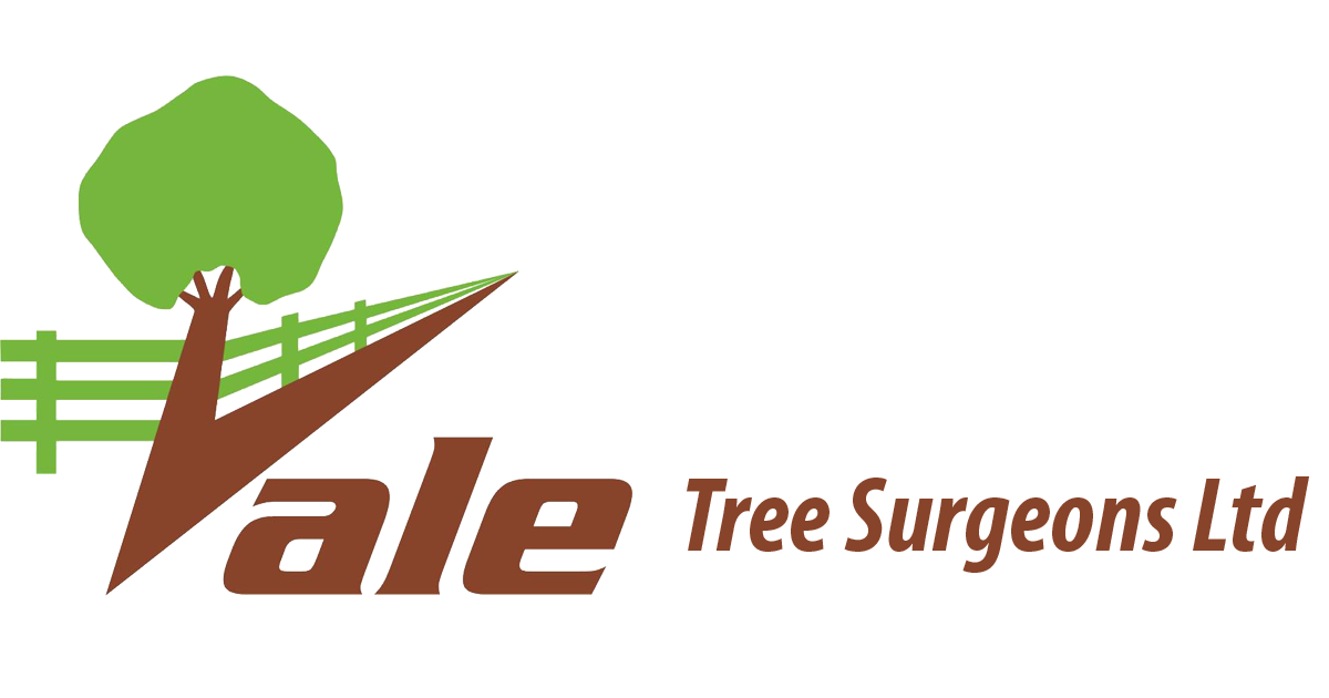Gallery - Vale Tree Surgeons